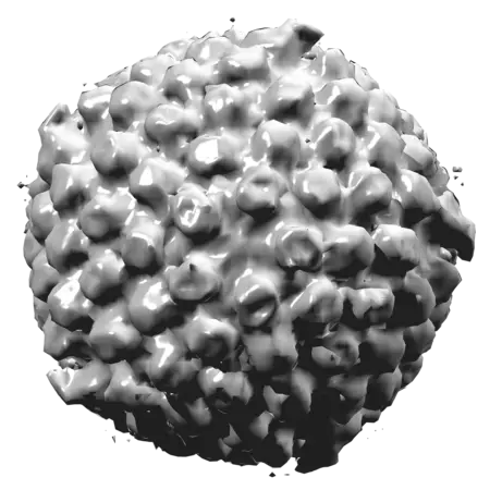Вирус на херпес симплекс тип I 1186534 1920 година