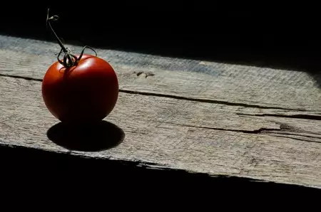 tomato-akwukwo nri-mkpuru osisi