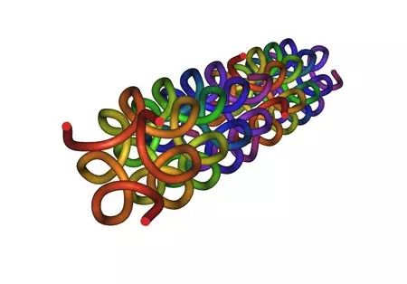 структура-колаген