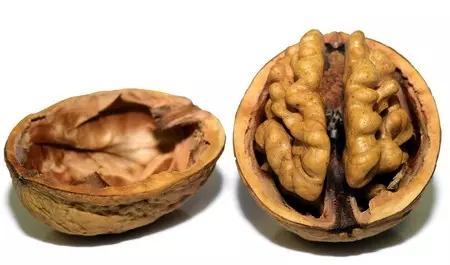 walnut - ubongo